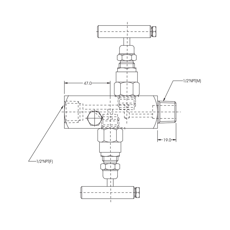 2 Valve Manifold Direct Mounting ('T' Type) - Fitexcel Industries