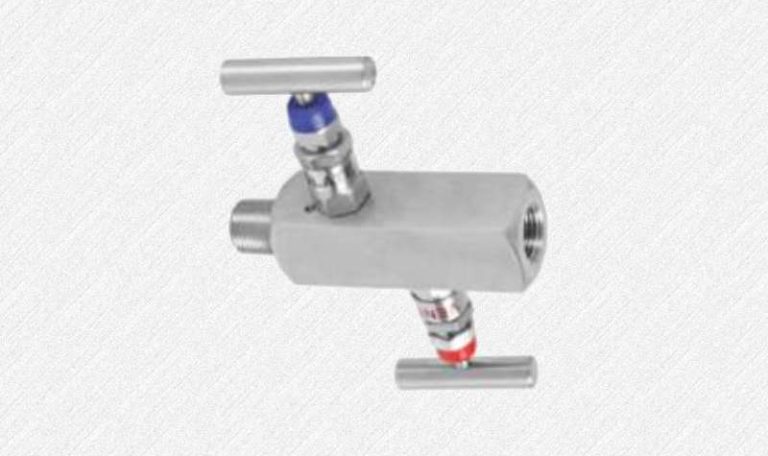 2 Valve Manifold Direct Mounting ('T' Type) - Fitexcel Industries