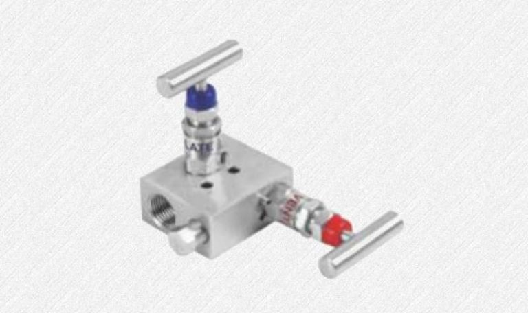 2 Valve Manifold Remote Mounting Type - Fitexcel Industries